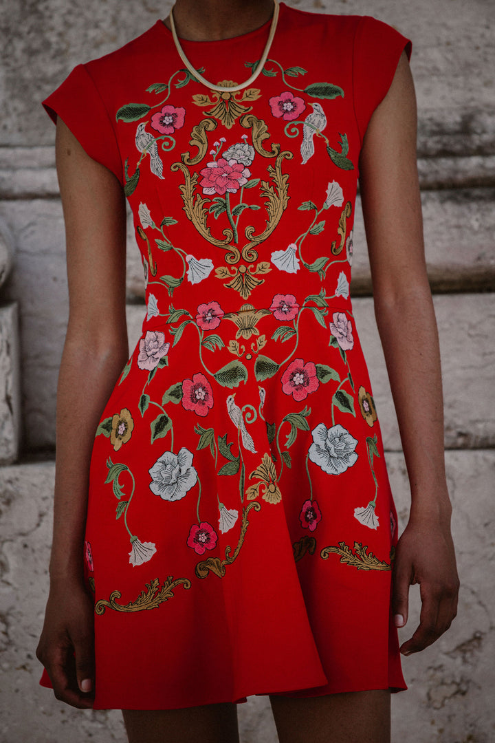 Madeline Embroidered Red Mini Dress – Aarabhi London